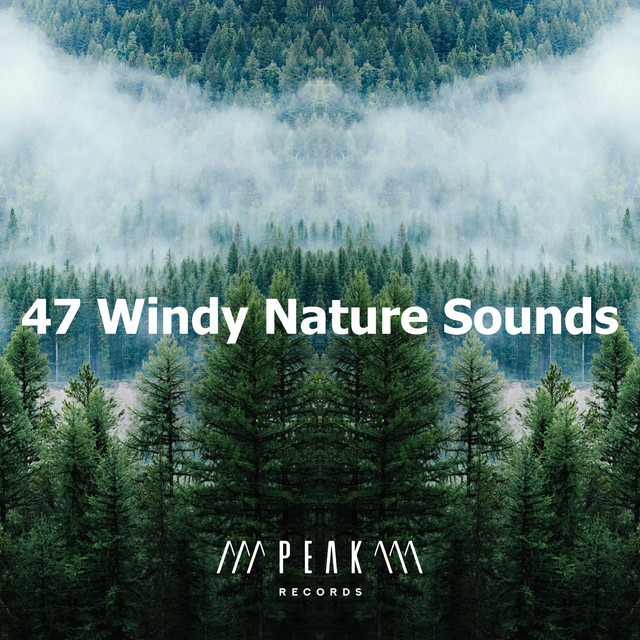 Windy Day Birdsong - song and lyrics by Música de la Naturaleza | Spotify