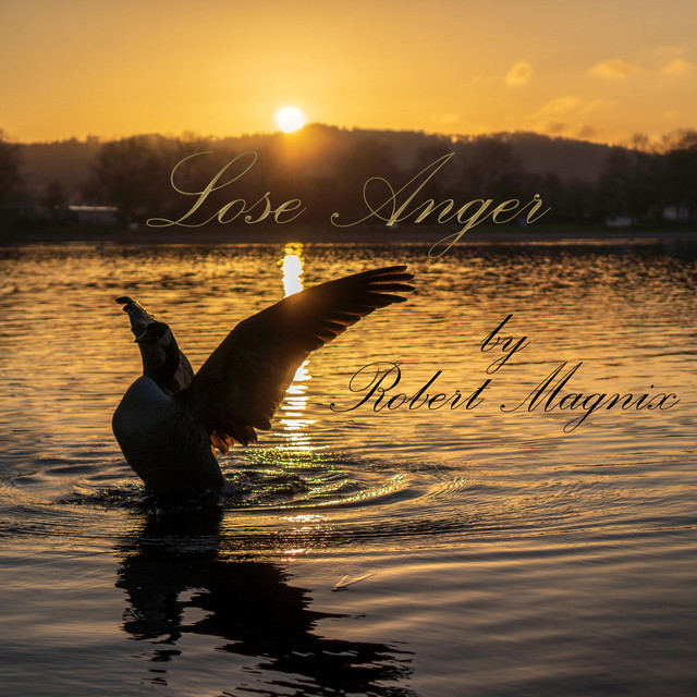 Lose Anger - Single by Robert Magnix | Spotify