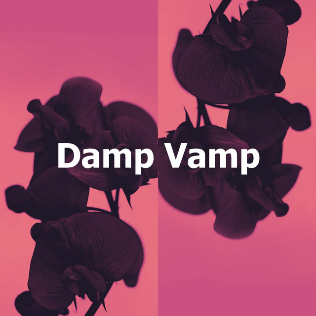 Damp Vamp - Album by LO-FI BEATS | Spotify