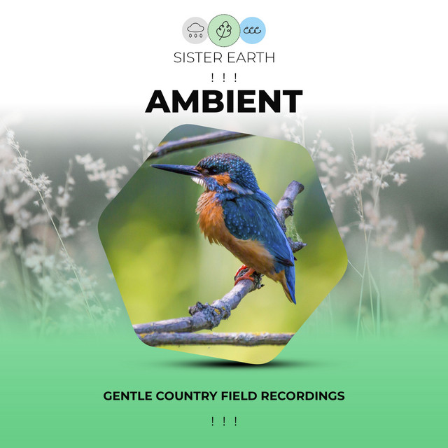 Gentle Ambient Country Field Recordings ! ! ! - Album by Sleep Sounds ...