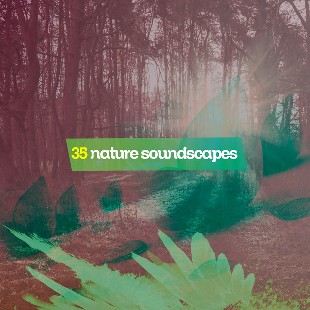 35 Nature Soundscapes - Album by Nature Recordings | Spotify