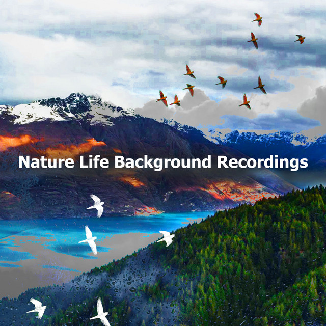Nature Life Background Recordings - Album by Nature Sounds ...