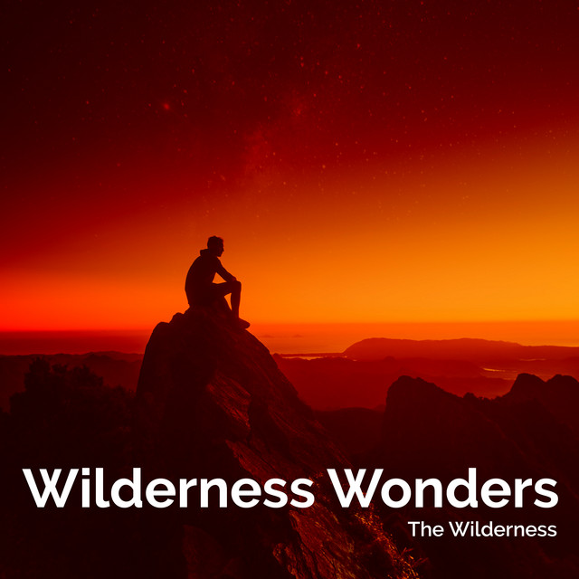 Wilderness Wonders - Album by The Wilderness | Spotify