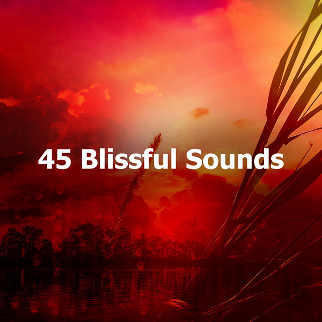 Distant Shore - song and lyrics by Ambient | Spotify