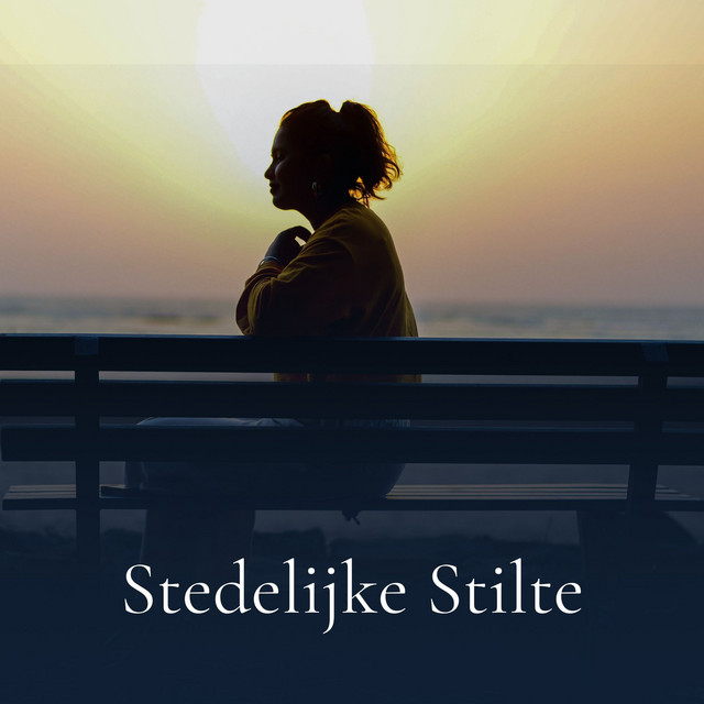 Stedelijke Stilte - Album by Rustgevende Muziek | Spotify