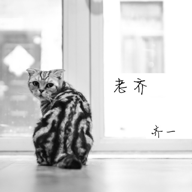 老齊 - Album by Seven Qi | Spotify