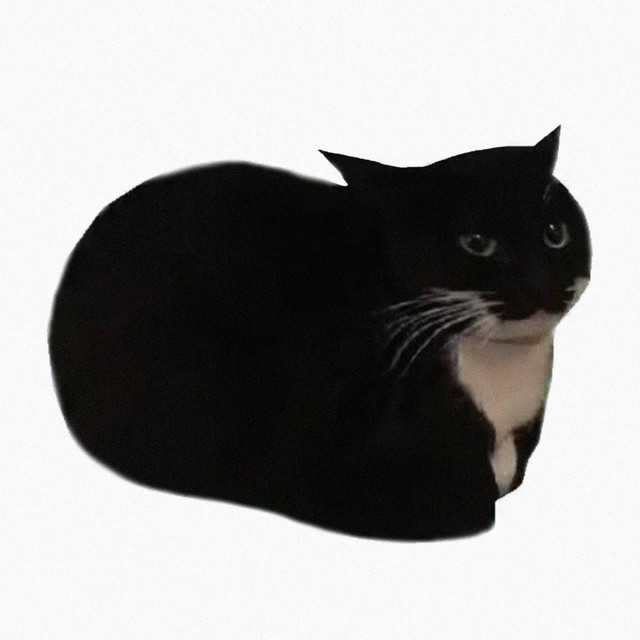 Maxwell The Cat Theme Musik Und Lyrics Von Catbycat Spotify