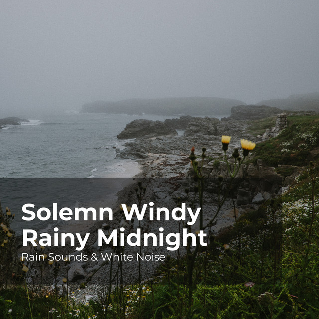 Solemn Windy Rainy Midnight - Album by Rain Sounds & White Noise | Spotify