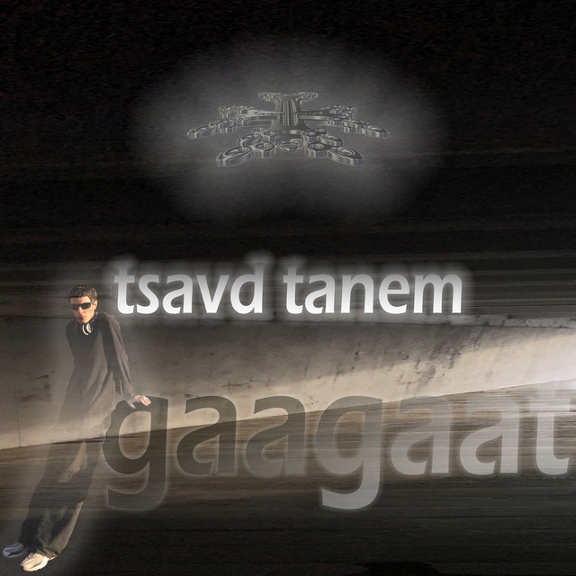 Tsavd Tanem - Single by gaagaat | Spotify