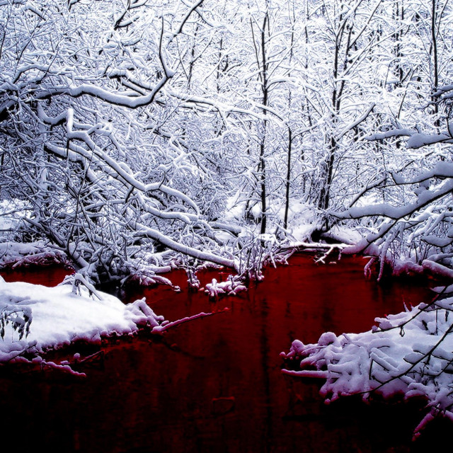 BLOOD ON THE SNOW - Single by m3wk4 | Spotify