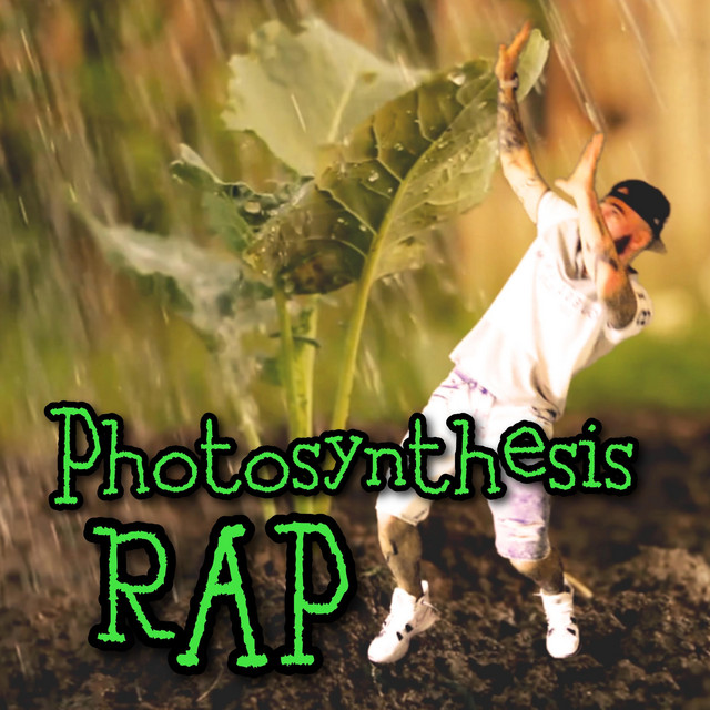 Photosynthesis Rap - Single by Fundamental Raps | Spotify