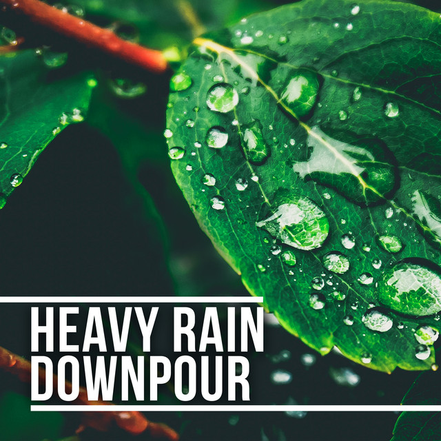 Heavy Rain Downpour - Album by Heavy Rain Sounds | Spotify