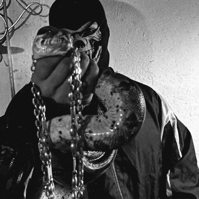 Pitti ohne Leine - song by Blocctwinbendo, Prod by OG Berger, BOBBY SAN ...