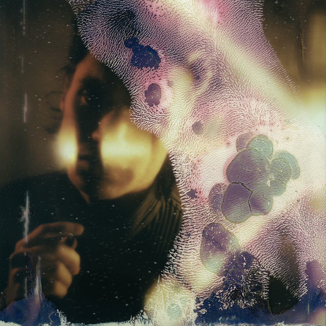 Lemaire Lee Concert & Tour History | Concert Archives