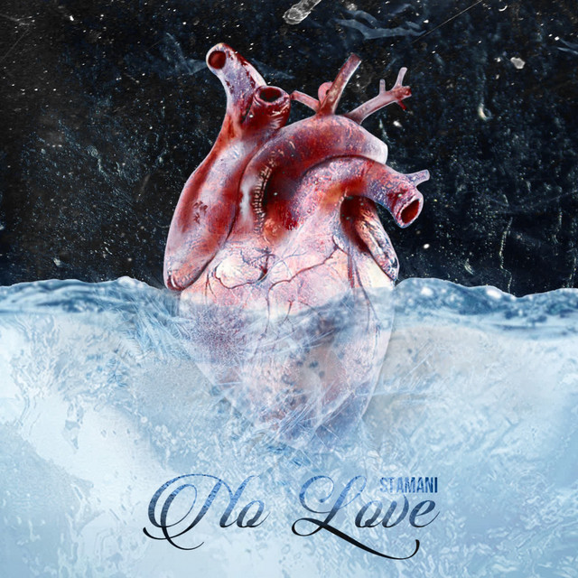 No Love - song and lyrics by Stamani | Spotify