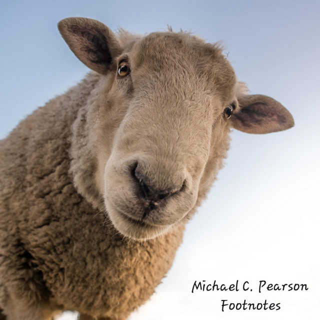 Footnotes - Album by Michael C. Pearson | Spotify