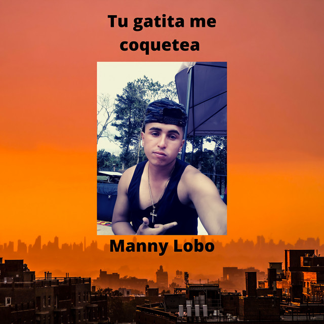 Tu Gatita Me Coquetea - Single by Manny Lobo | Spotify