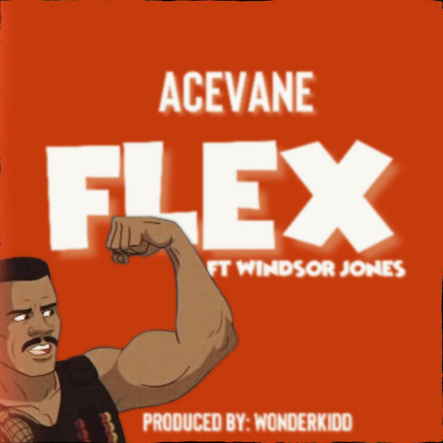 Flex - Single by AceVane | Spotify