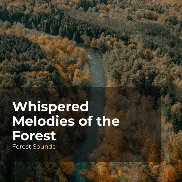 Whispered Melodies of the Forest - Album by Forest Sounds | Spotify