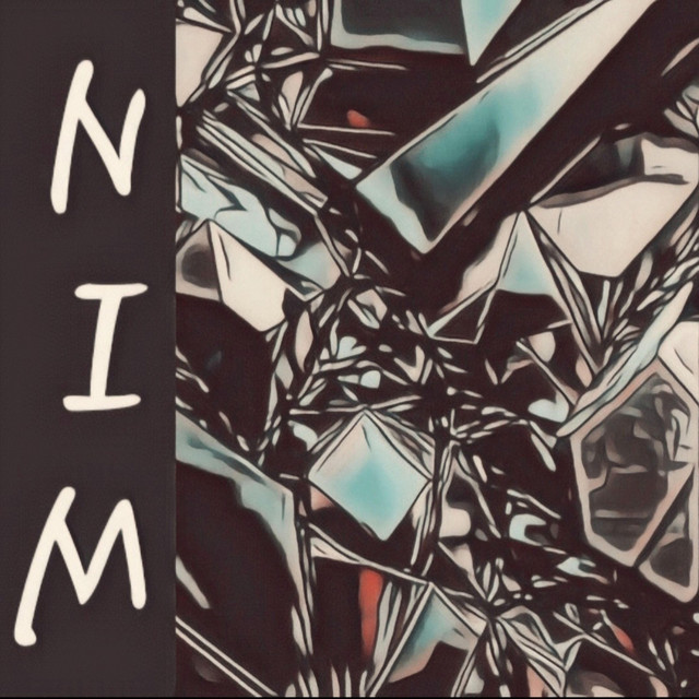 Nim: Songs list, genres, analysis and similar artists - Chosic