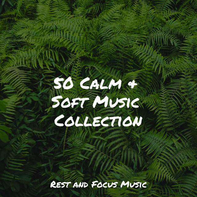 50 Calm & Soft Music Collection - Album by Spa Music Collective | Spotify