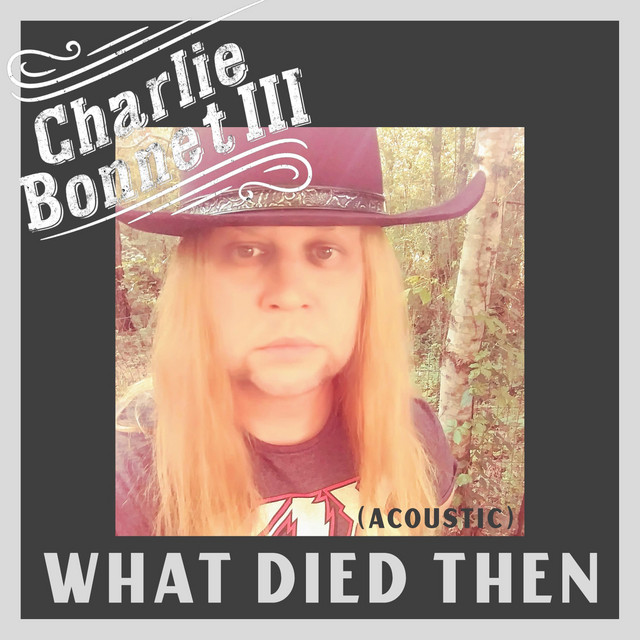 What Died Then (Acoustic) - Single by Charlie Bonnet III | Spotify