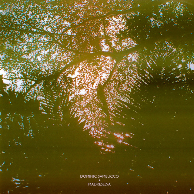 Madreselva - EP by Dominic Sambucco | Spotify