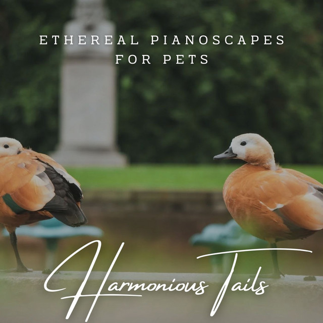 Harmonious Tails: Meditative Piano for Pets - Album by Relaxing Piano ...