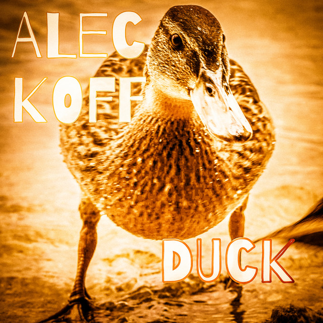 Duck - Album by Alec Koff | Spotify