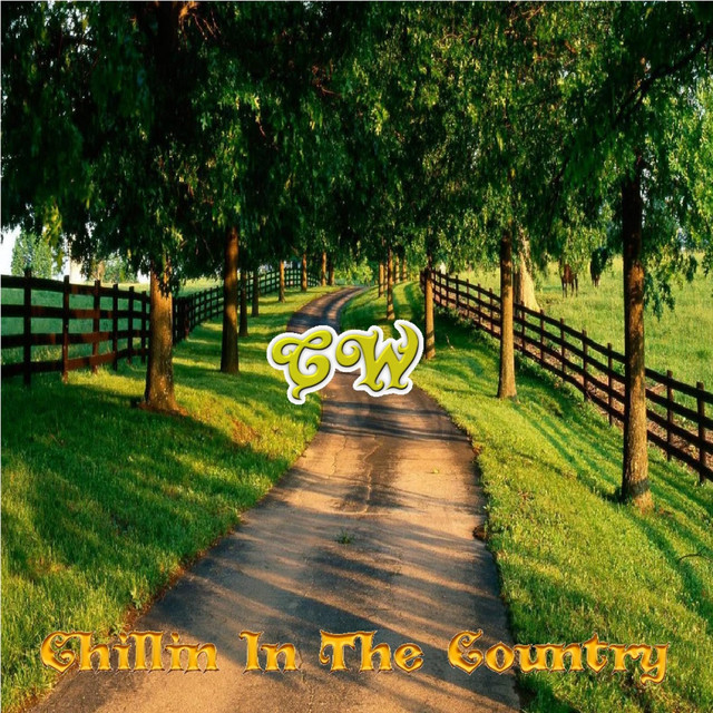 That High Life - song and lyrics by Chill Wagon | Spotify