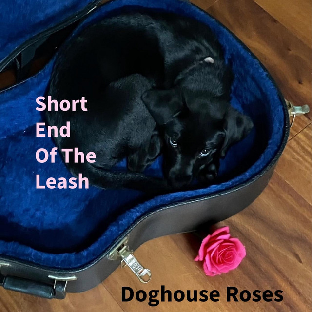 Oct 20, 2009: Doghouse Roses at La Rotonde Sint-Joost-ten-Noode / Saint ...