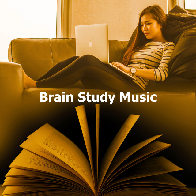 Brain Study Music ! ! ! - Album by Brain Study Music Guys | Spotify