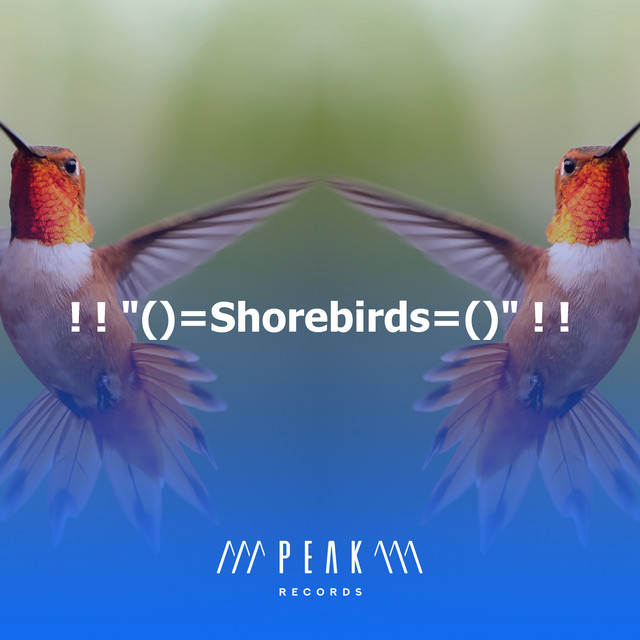 Shorebirds=()" ! ! - Album by Bird Sounds | Spotify