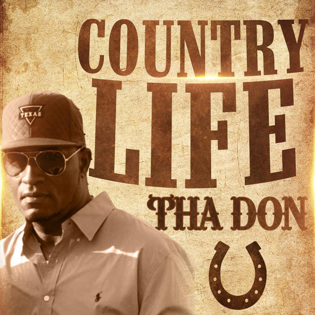 Country Life - Single by Tha Don | Spotify
