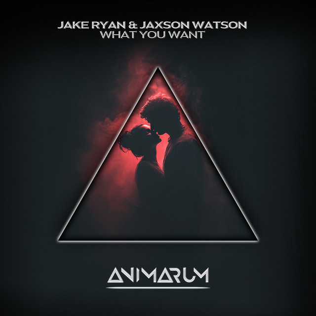 What You Want - song and lyrics by Jake Ryan, Jaxson Watson | Spotify