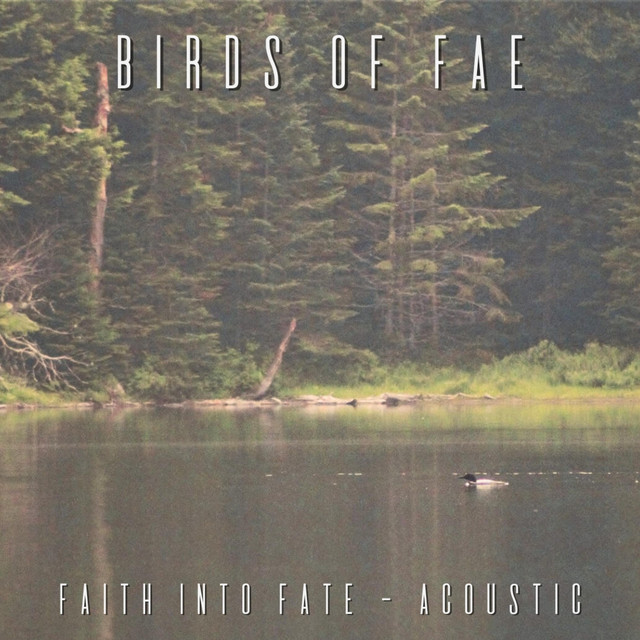 Faith Into Fate - Single by Birds of Fae | Spotify