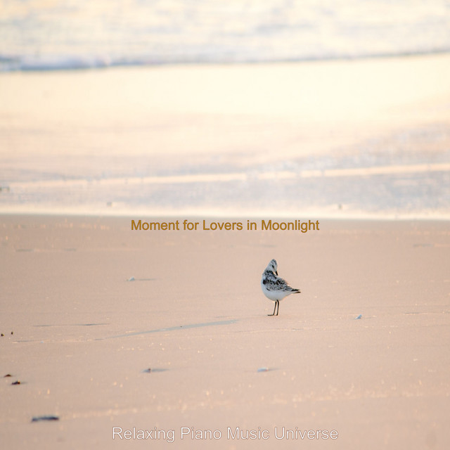 Moment for Lovers in Moonlight - Album by Relaxing Piano Music Universe ...
