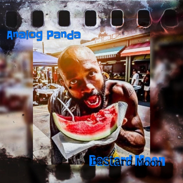 BPM and key for songs by Analog Panda | Tempo for Analog Panda songs ...