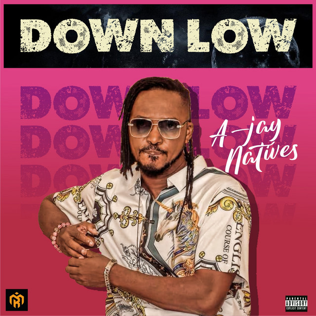 Down Low - Album by Ajay Natives | Spotify