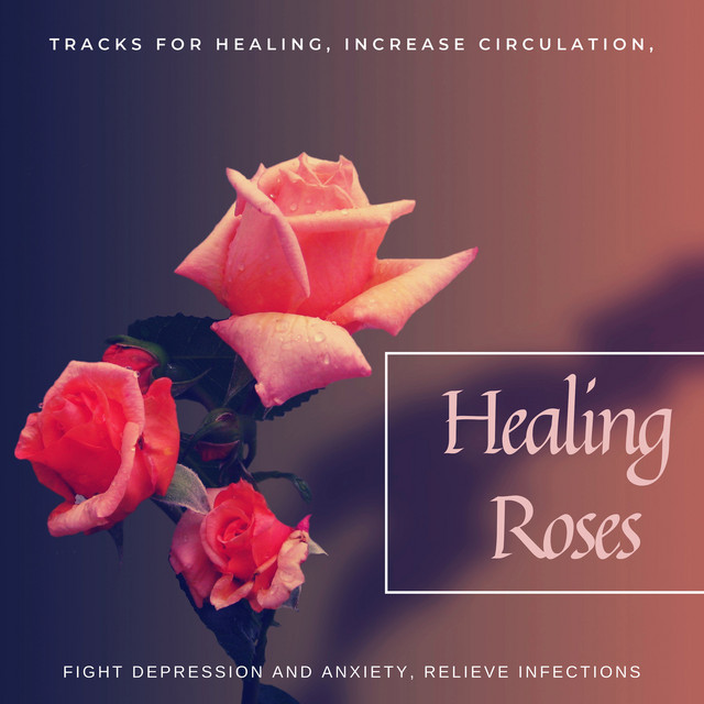 Spirit - Original Mix - song and lyrics by Anxiety and Stress Reduction ...