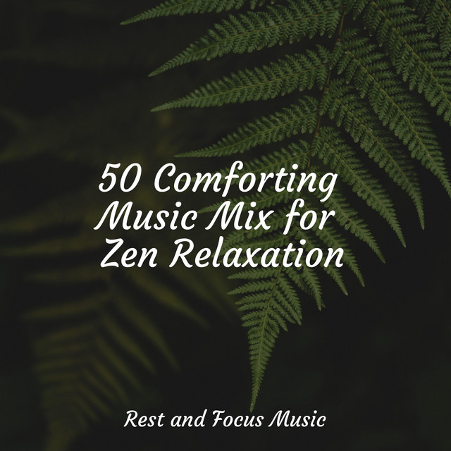 50 Comforting Music Mix for Zen Relaxation - Album by Massage Therapy ...