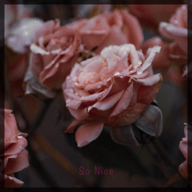 So Nice - song and lyrics by Axel Lindholm | Spotify