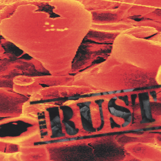 BPM and key for songs by The Rust | Tempo for The Rust songs | SongBPM ...