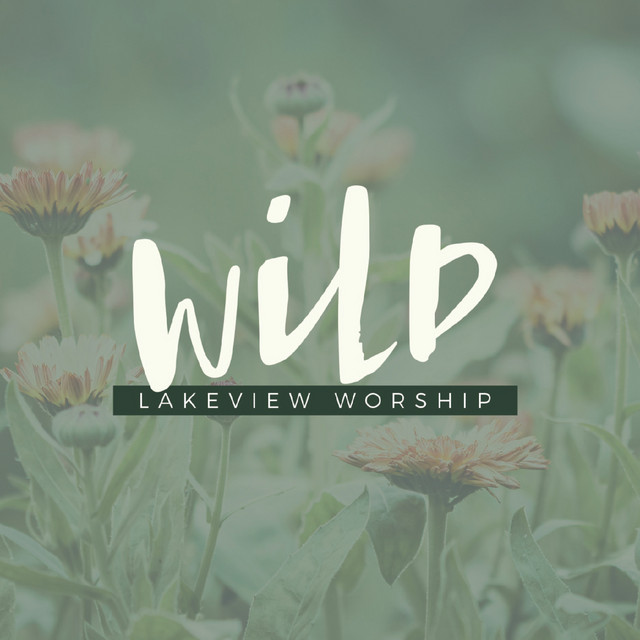 Wild - Album by Lakeview Worship | Spotify