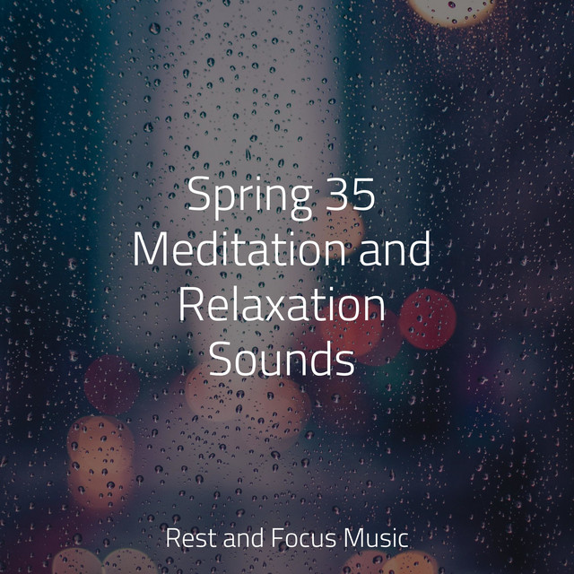 Spring 35 Meditation and Relaxation Sounds - Album by Exam Study ...