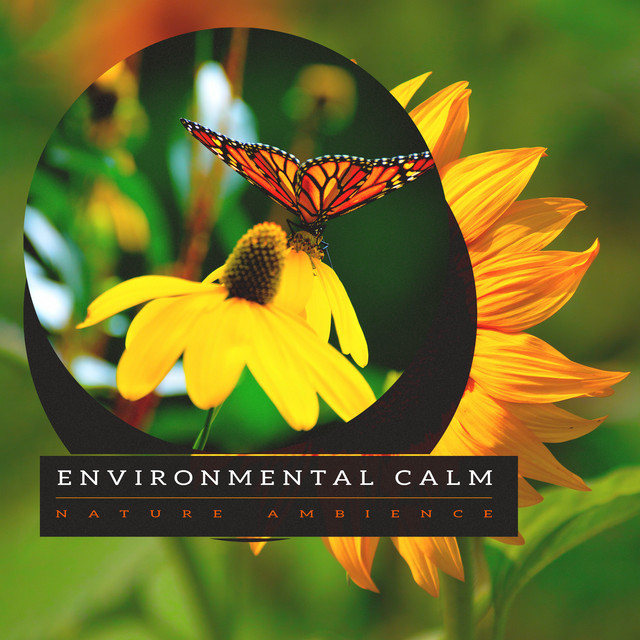 Environmental Calm - Album by Nature Ambience | Spotify