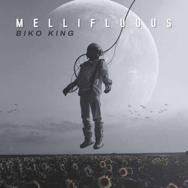 Mellifluous - EP by Biko King | Spotify