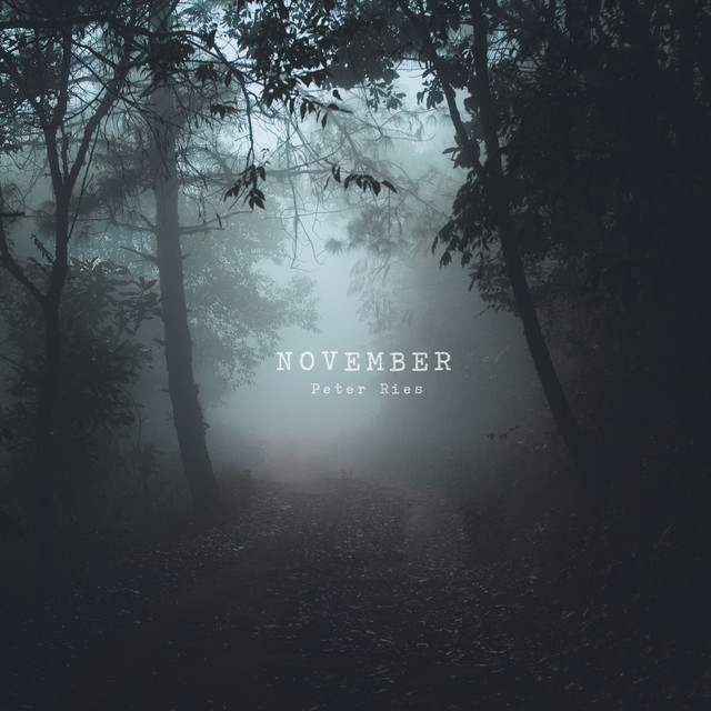 November - song and lyrics by Peter Ries | Spotify