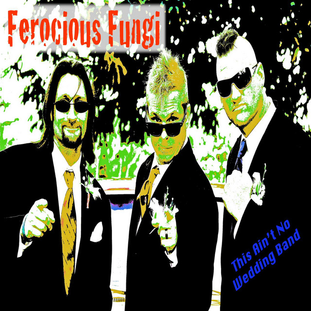 This Ain't No Wedding Band - Single by Ferocious Fungi | Spotify