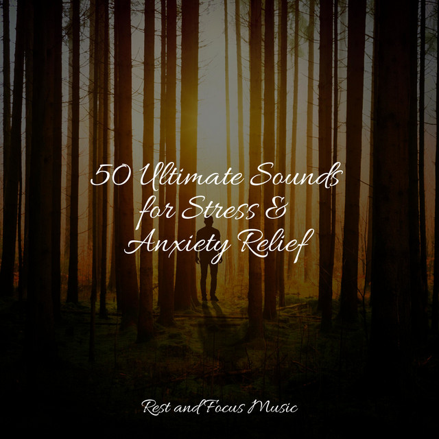 50 Ultimate Sounds for Stress & Anxiety Relief - Album by Chakra ...